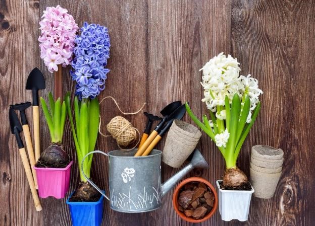 15 Top-Rated Garden Accessories at Miles Kimball - Kimball Corner